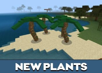 Download Palm Trees Mod for Minecraft PE - Palm Trees Mod for MCPE