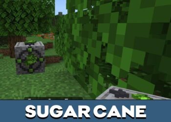 Download Insta Farm Mod for Minecraft PE - Insta Farm Mod for MCPE