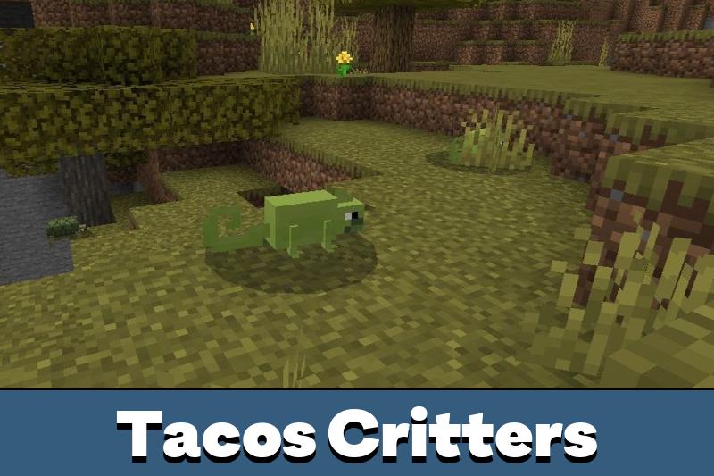Download Tacos Critters Mod for Minecraft PE - Tacos Critters Mod for MCPE