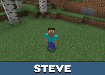 Download 3D Player Texture Pack for Minecraft PE - 3D Player Texture ...