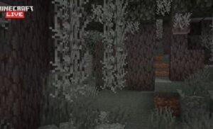 Minecraft Live 2024 - MCPEDL.ORG