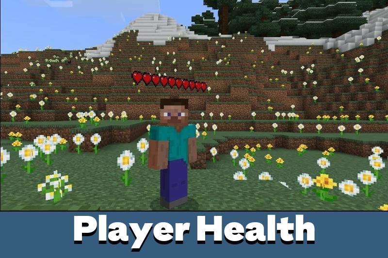 Download Player Health Indicator Mod for Minecraft PE (HP Bars, UI ...