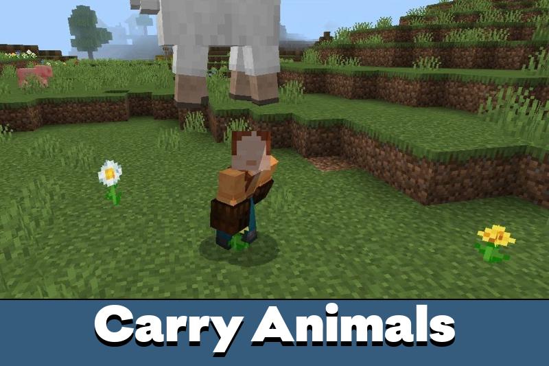 Download Carry Animals Mod for Minecraft Bedrock Edition