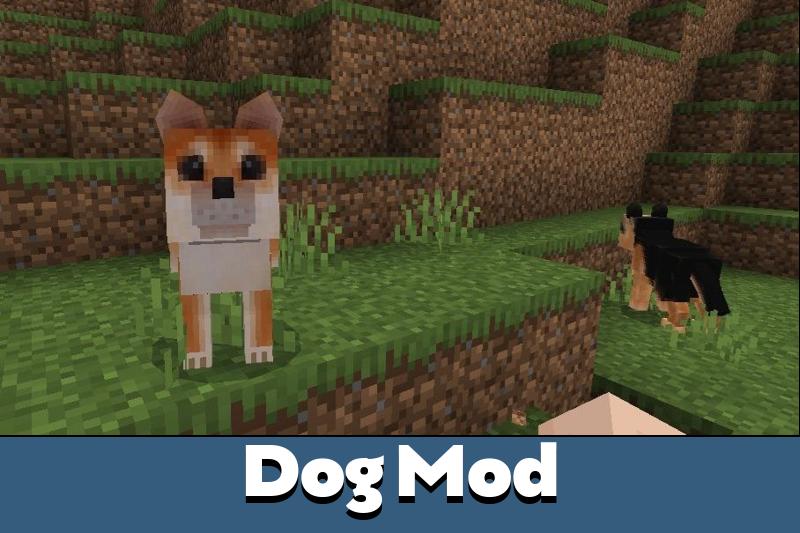 Download Dog Mod for Minecraft Bedrock Edition