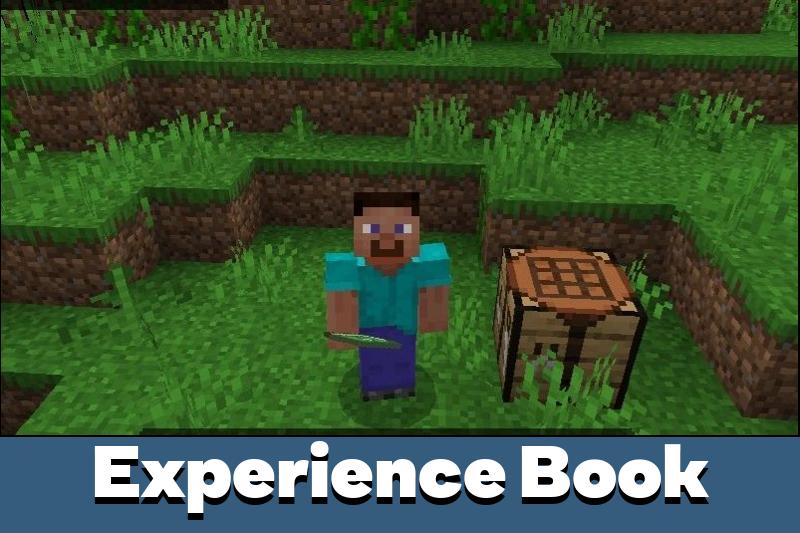 Download Experience Book Mod for Minecraft Bedrock Edition