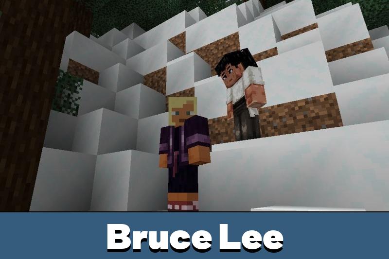 Download Bruce Lee Mod for Minecraft Bedrock Edition