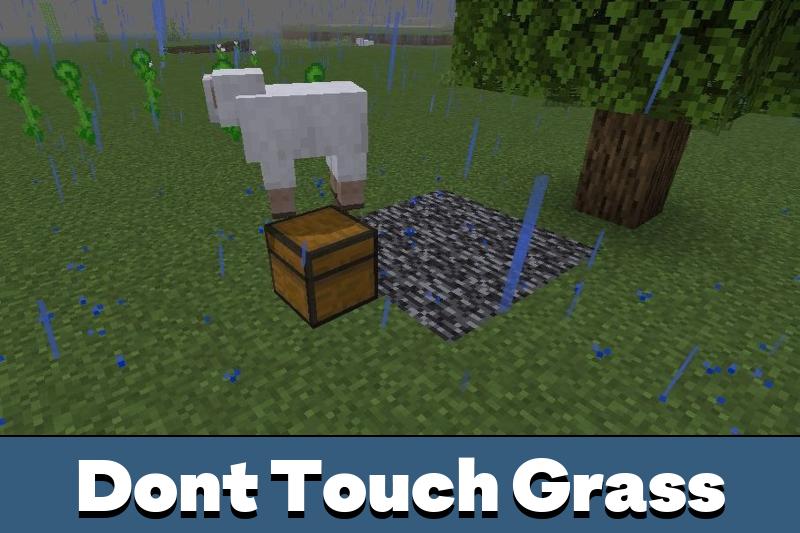Download Dont Touch Grass Map for Minecraft Bedrock Edition