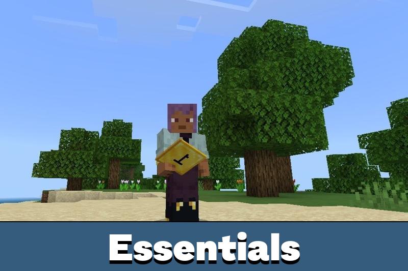 Download Essentials Mod for Minecraft Bedrock Edition