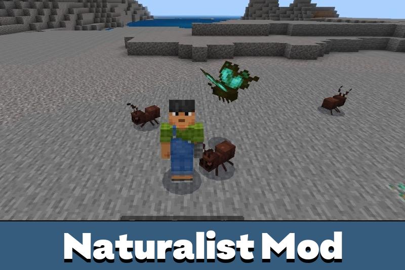 Download Naturalist Mod for Minecraft Bedrock Edition