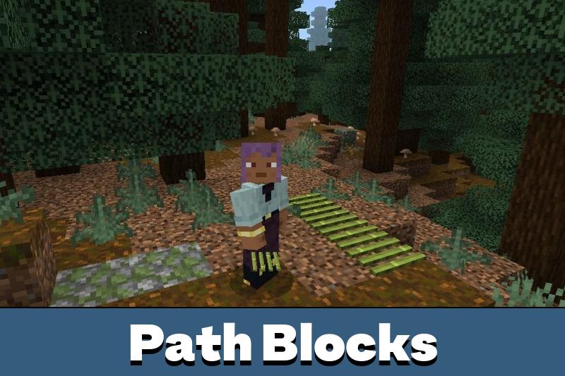 Download Path Blocks Mod for Minecraft Bedrock Edition