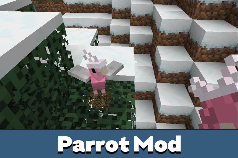 Download Parrots Mod for Minecraft Bedrock Edition