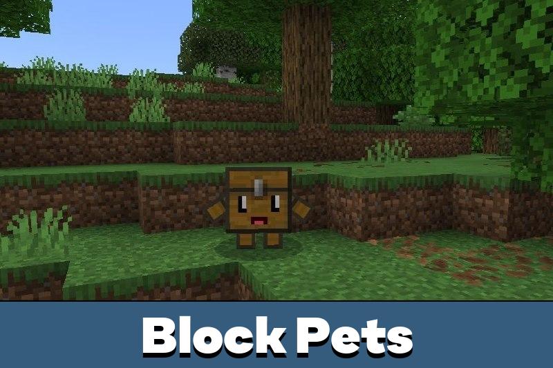 Download Block Pets Mod for Minecraft Bedrock Edition