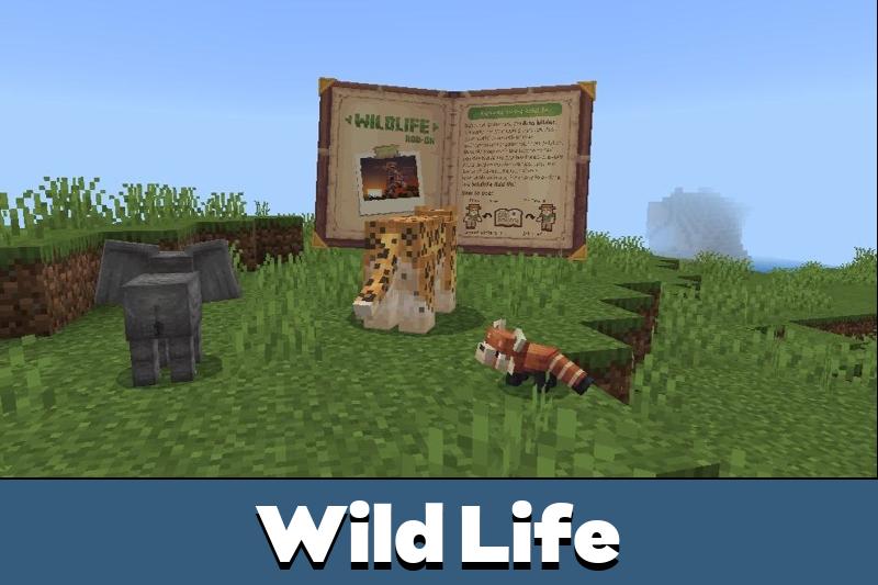 Download Wild Life Mod for Minecraft PE – New Animals & Fauna