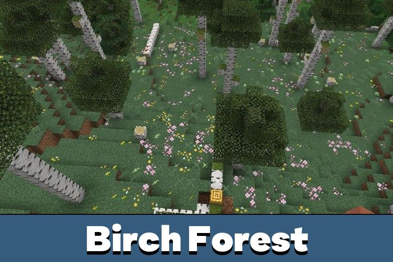 Download Birch Forest Mod for Minecraft Bedrock Edition